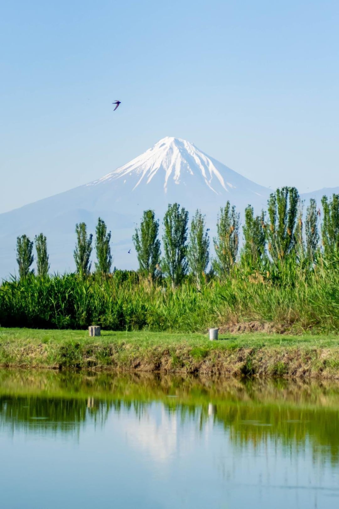 Mount Ararat and Lake. Beautiful Natural Landscape. River Photos. Lake ...