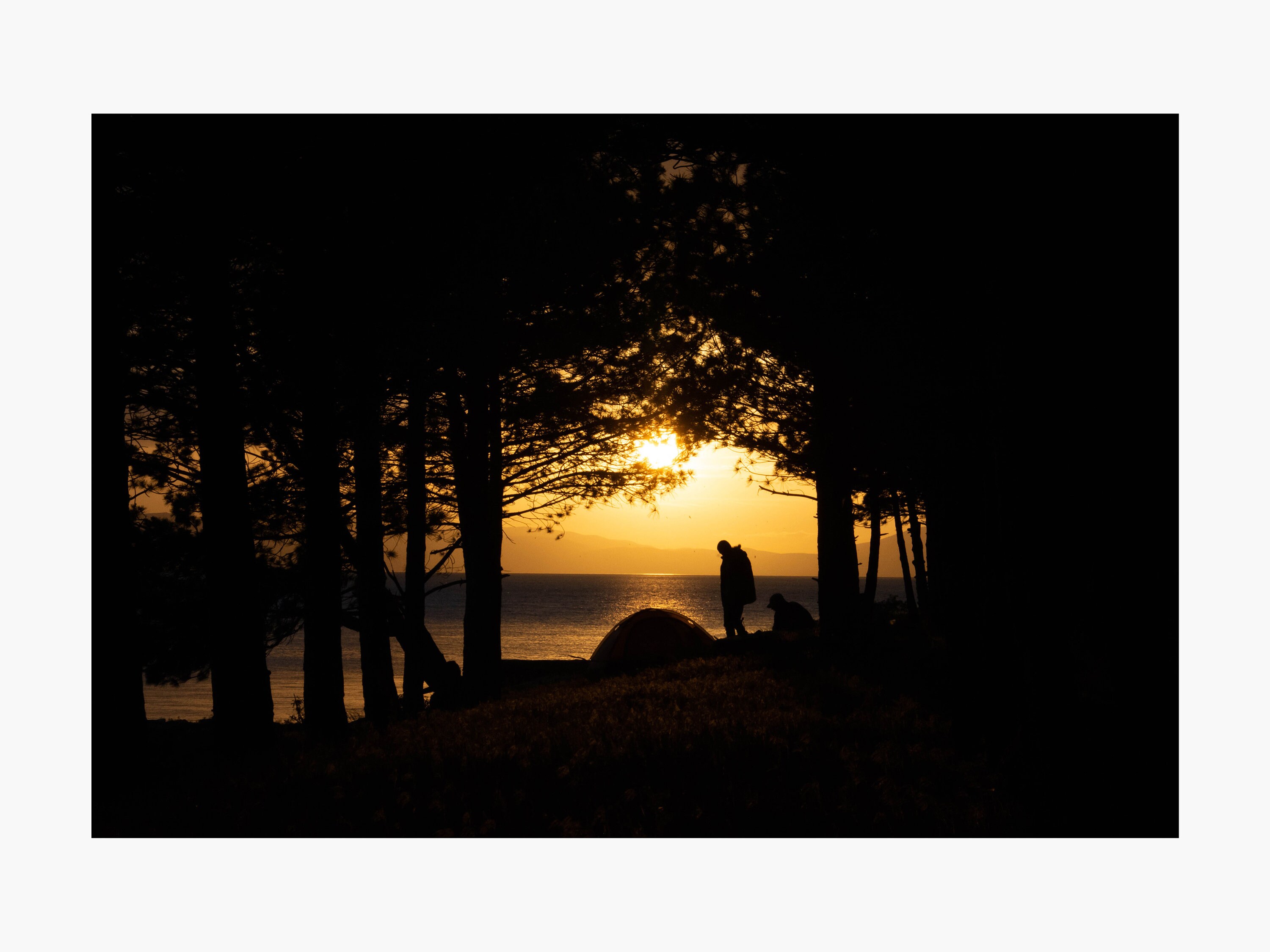 Camp in the Deep Forest. Man in the Forest. Lone Traveler in the Wild ...