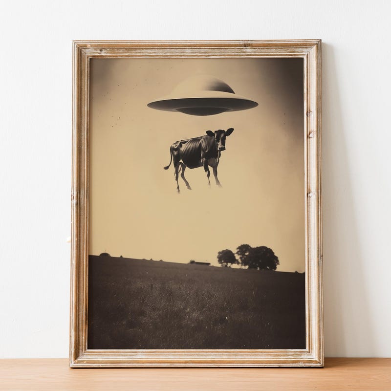 Cow Ufo Abduction Print - Etsy