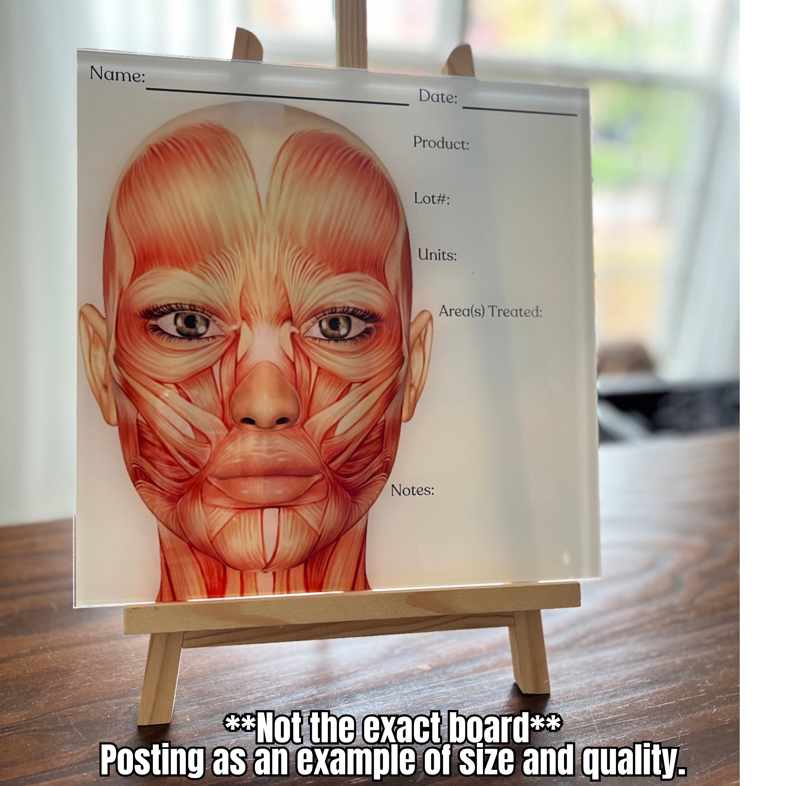 Aesthetic Injector Treatment Board, Aesthetic Training Tool, Dry Erase ...