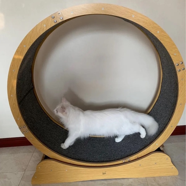 Roue exercice pour chat - Etsy France