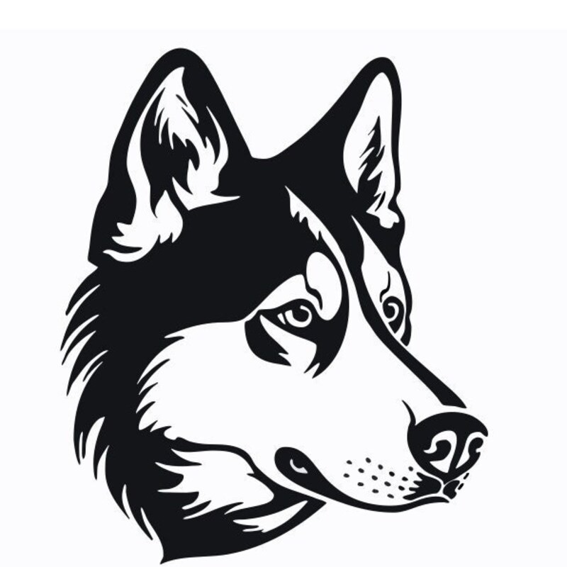 Furry Svg - Etsy