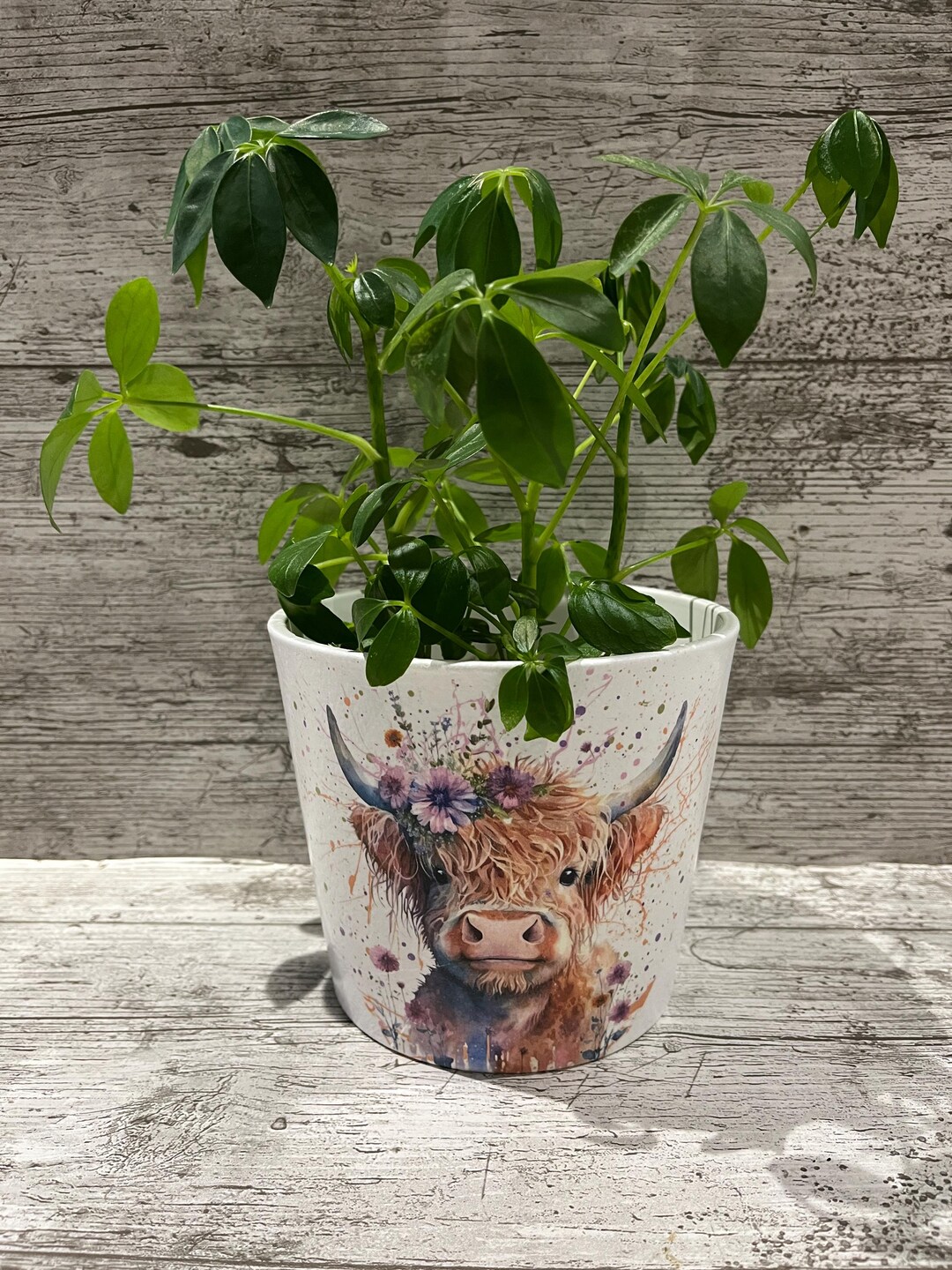 Indoor Plant Pot Decoupaged Highland Cow Design - Etsy
