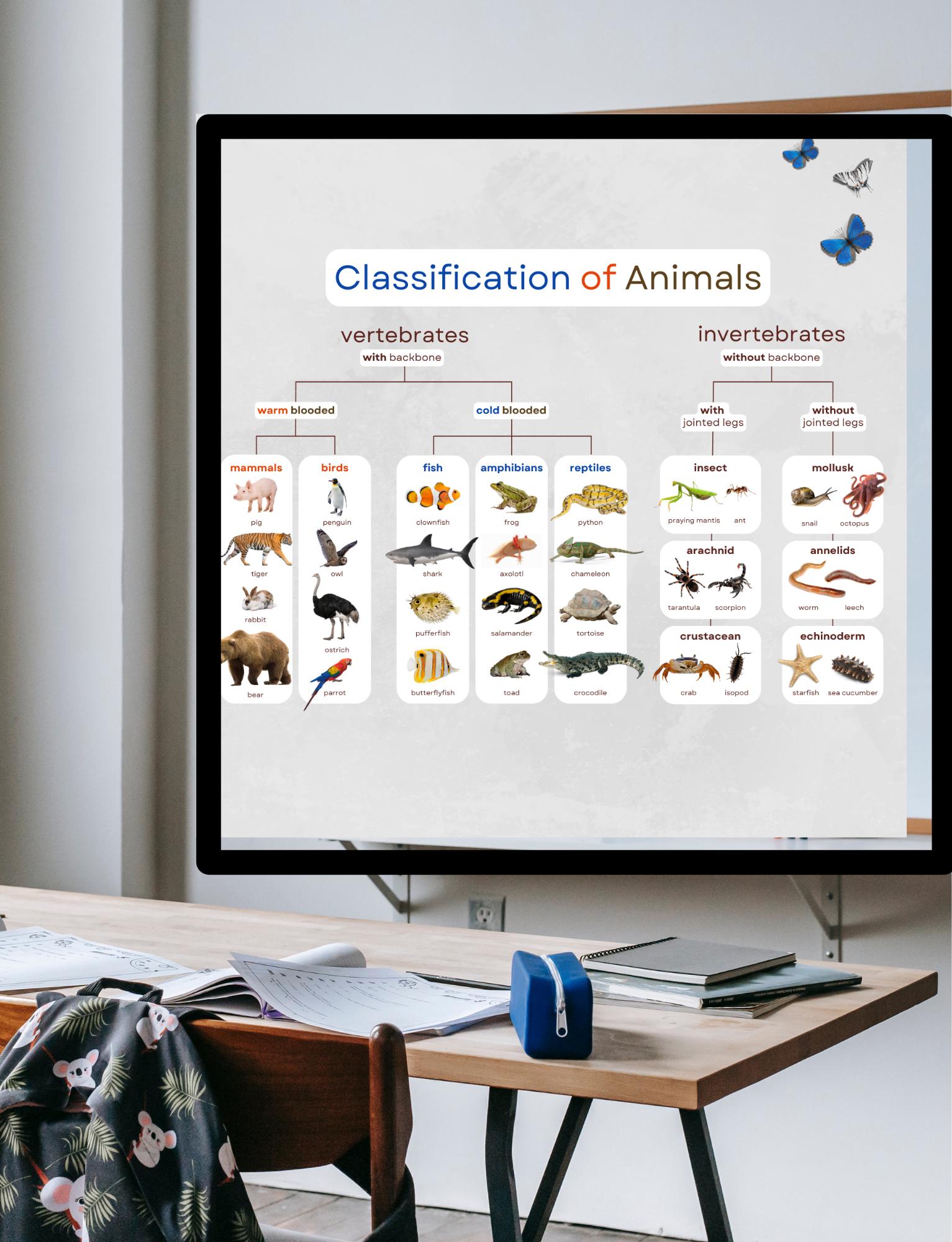 Animal Classification Chart - Vertebrates and Invertebrates ...