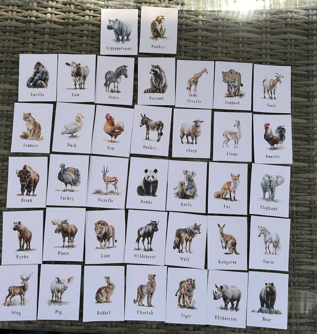 37x Animals Flashcards, Montessori Flash Cards, Pre-school Cards ...