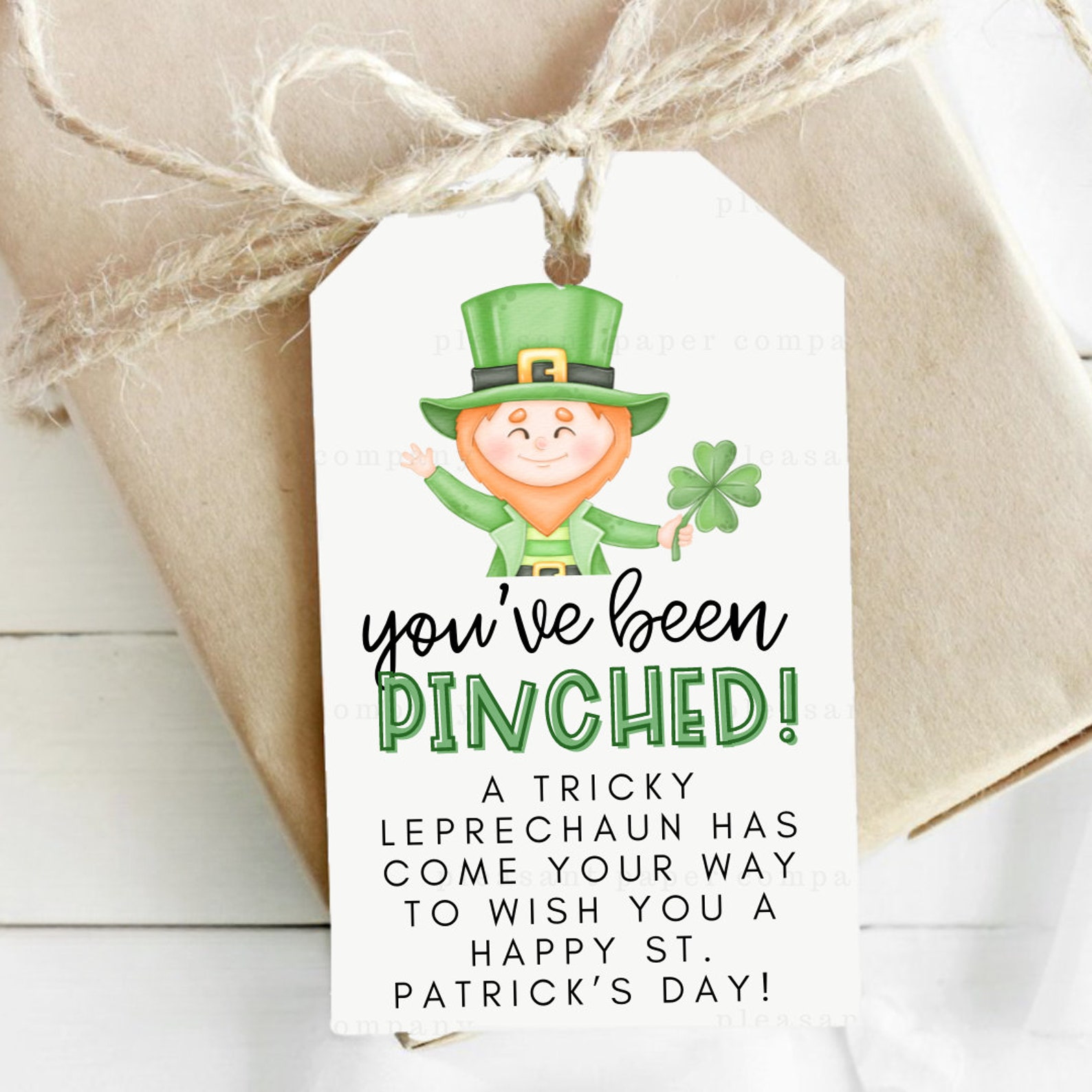 Printable St Patrick’s Day Gift Tag, You’ve Been Pinched Printable Tag ...
