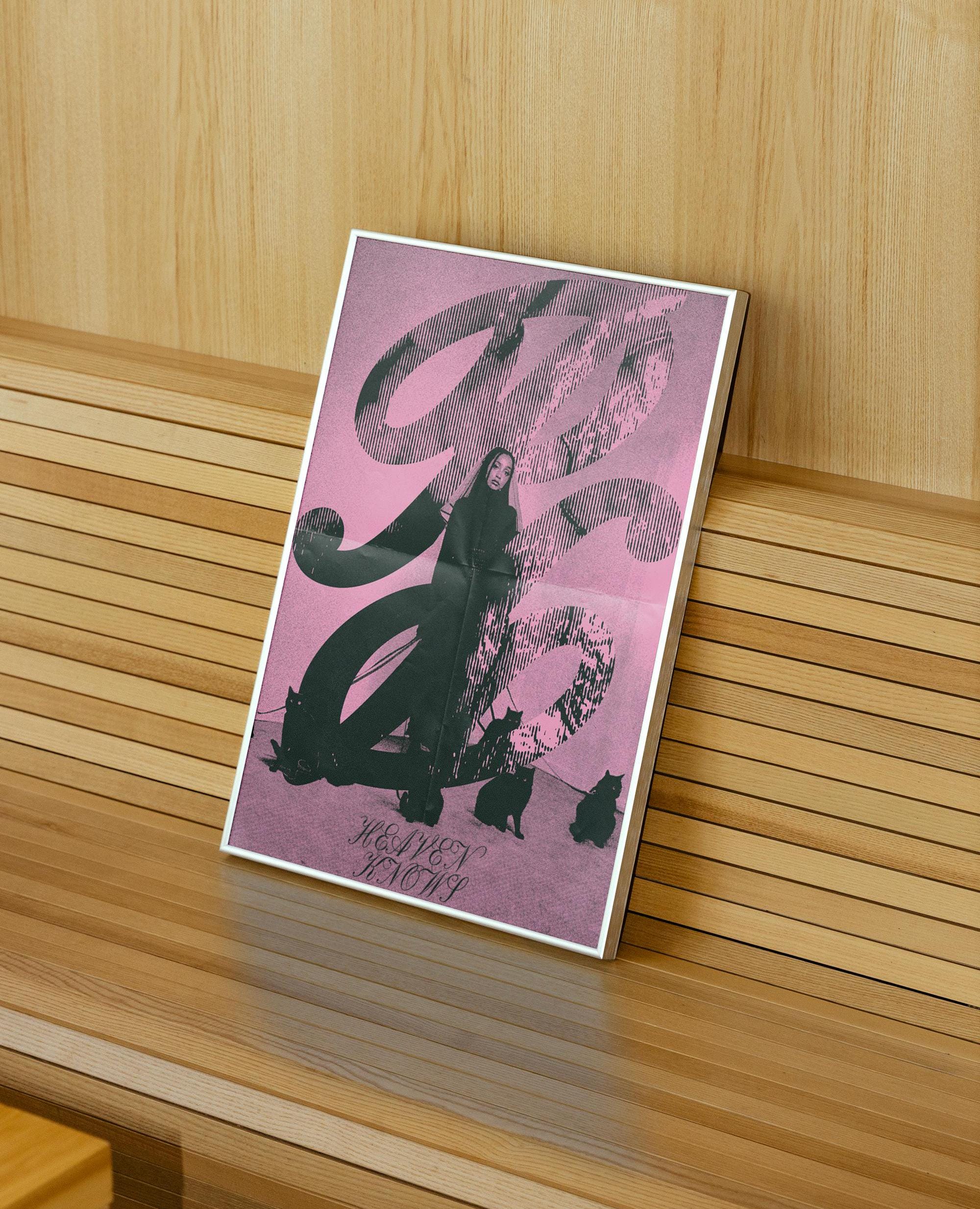 Pinkpantheress "heaven Knows" Poster - Etsy