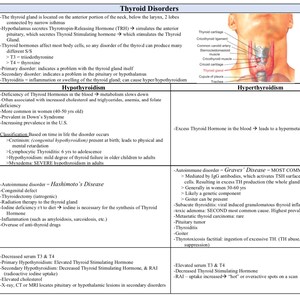 Thyroid Disorders Nursing Notes - Etsy