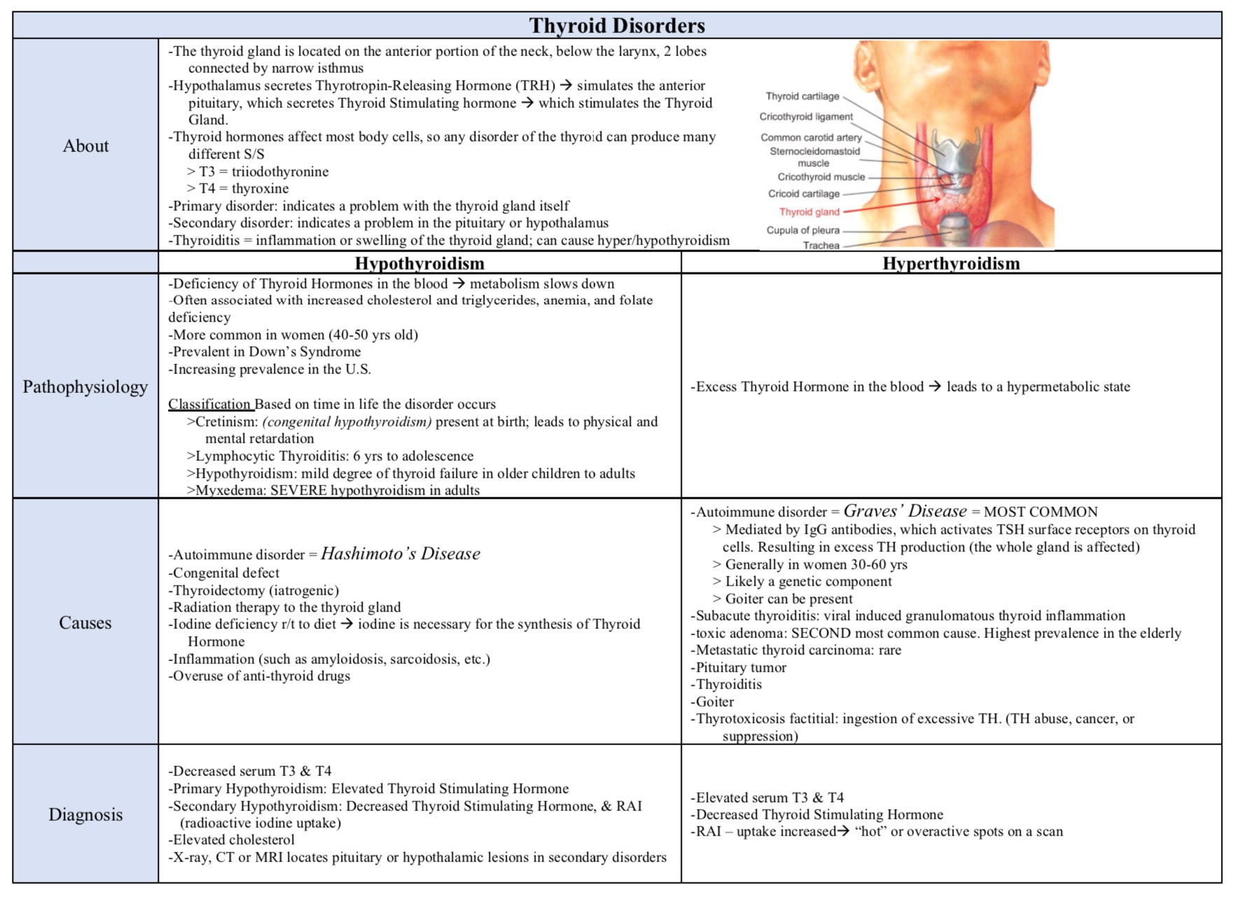 Thyroid Disorders Nursing Notes - Etsy