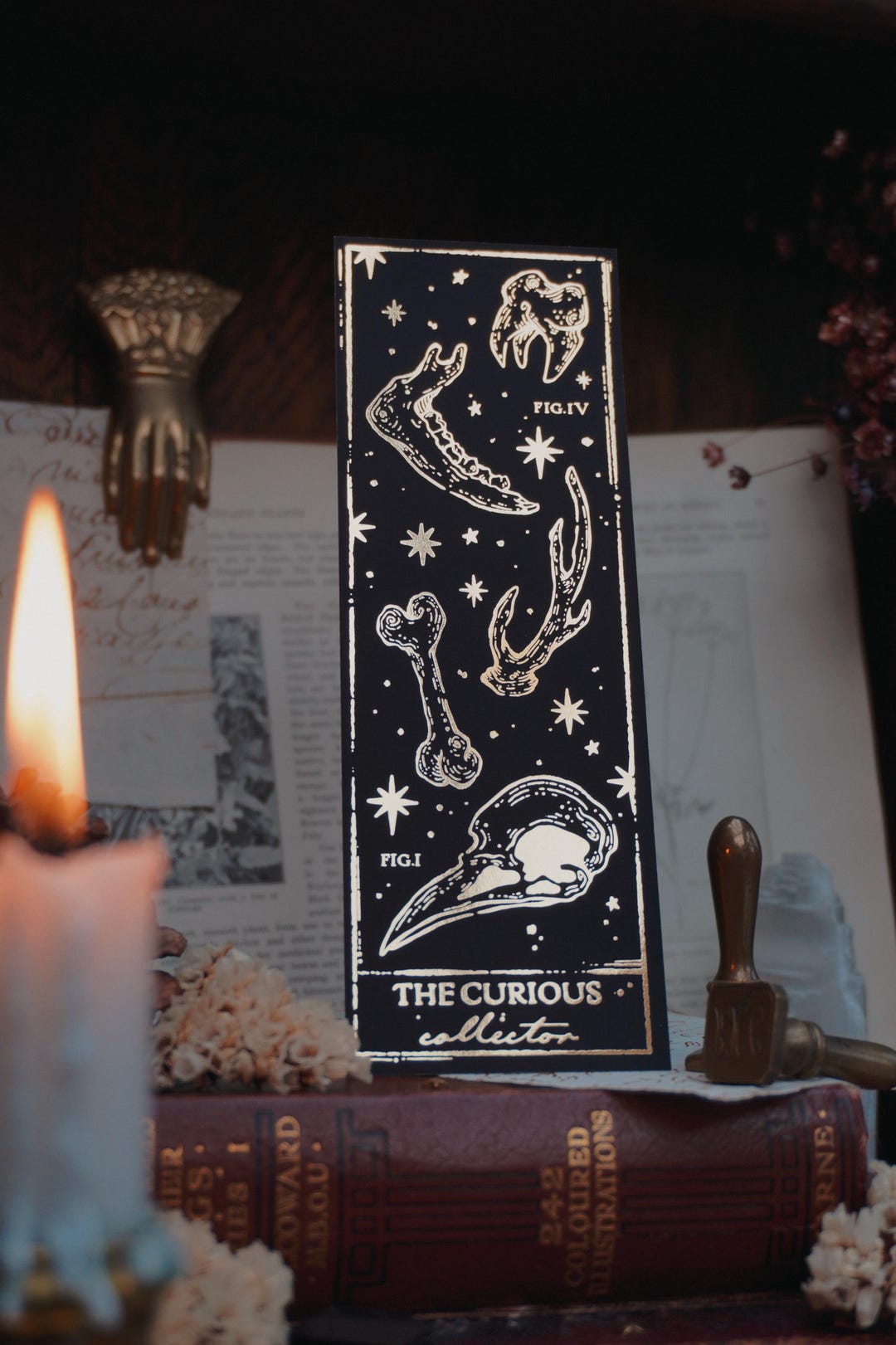 The Curious Collector, Memento Mori, Gold Foil, Double Sided Bookmark ...