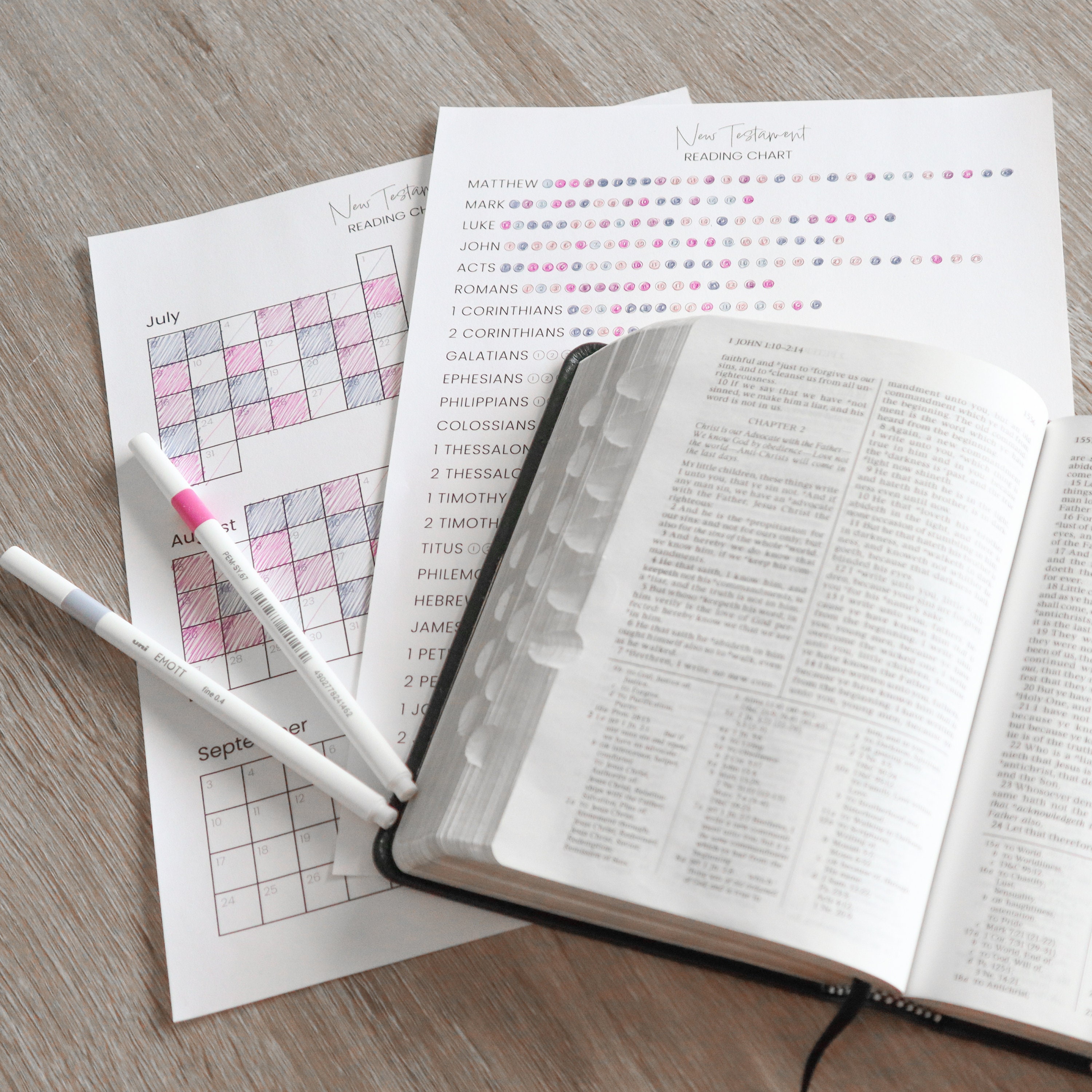 New Testament Reading Chart | Bible Reading Chart | Come Follow Me 2023 ...