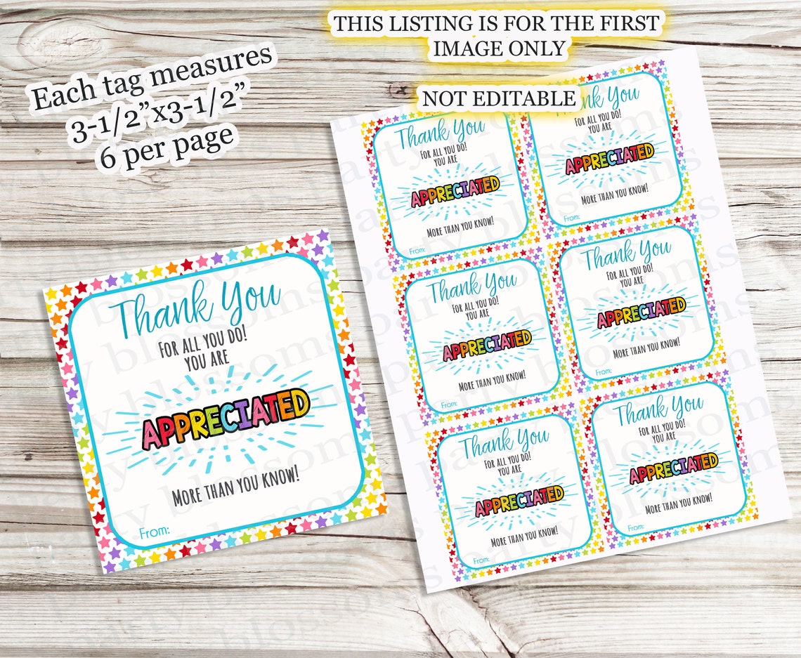 INSTANT DOWNLOAD: You Are Appreciated Smore Than You Know Teacher Gift ...