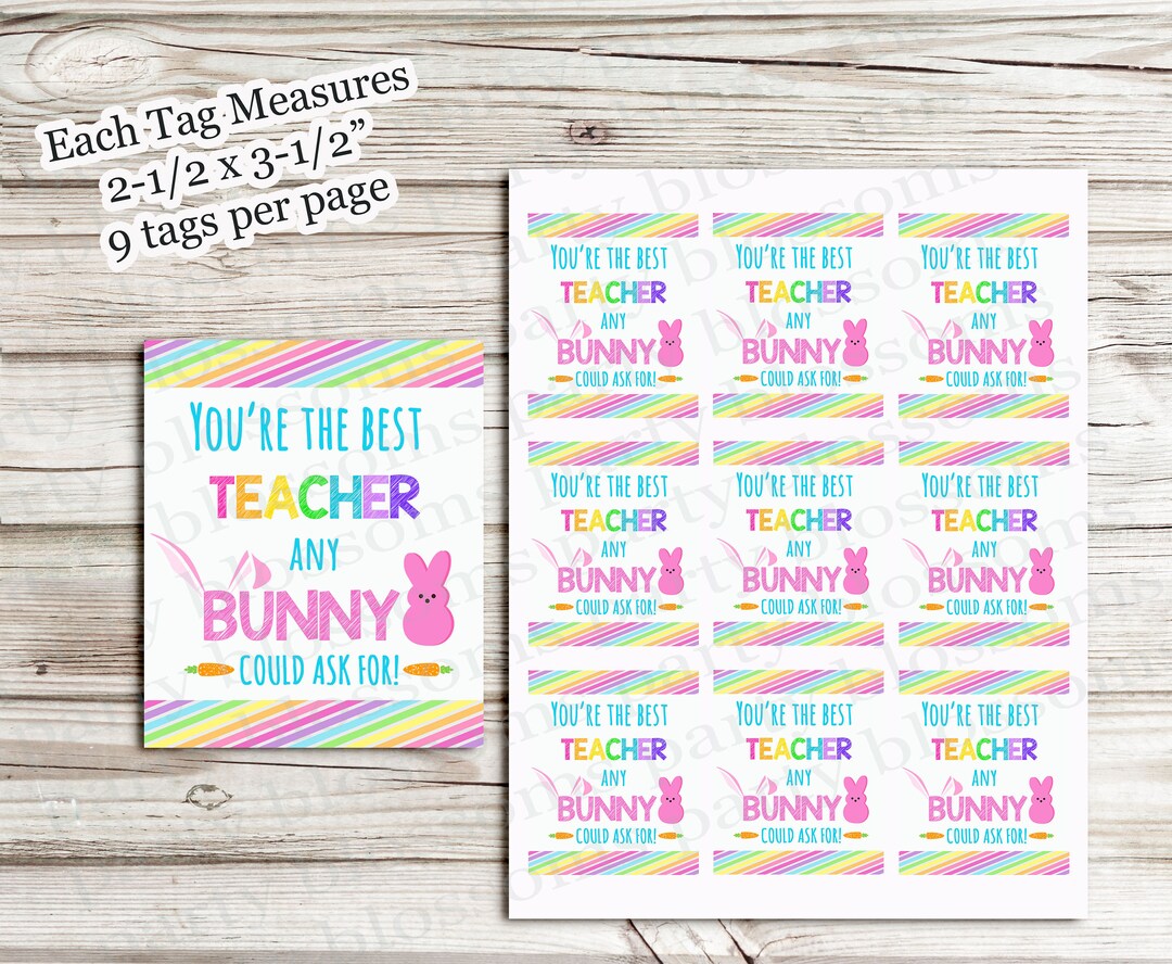 INSTANT DOWNLOAD Best Teacher Any Bunny Could Ask for Egg-cellent ...