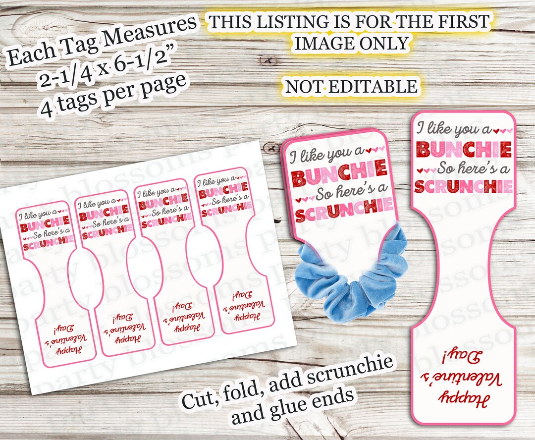 INSTANT DOWNLOAD Like You A Bunchie so Here's A Scrunchie Valentine ...