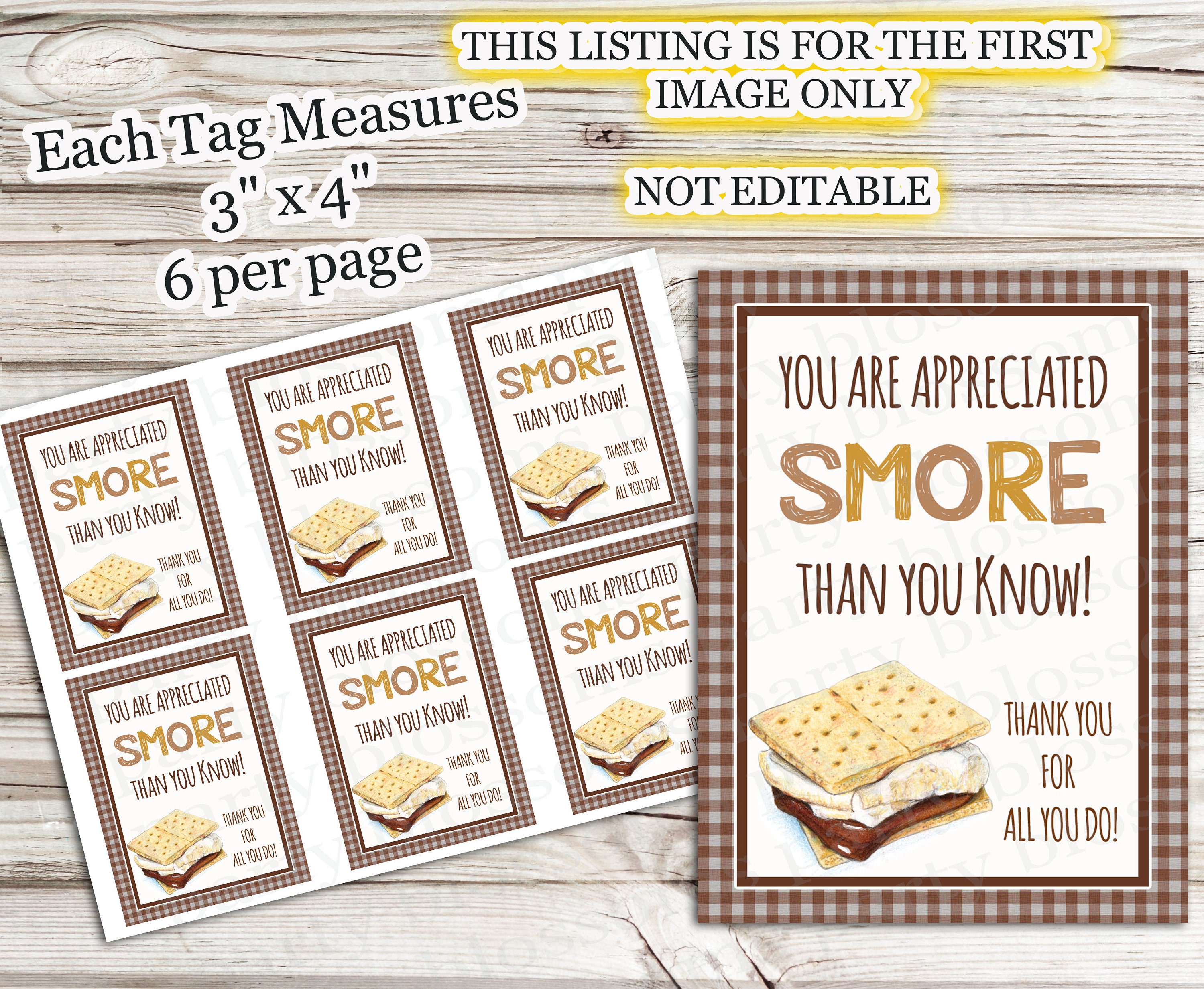 INSTANT DOWNLOAD: You Are Appreciated Smore Than You Know Teacher Gift ...