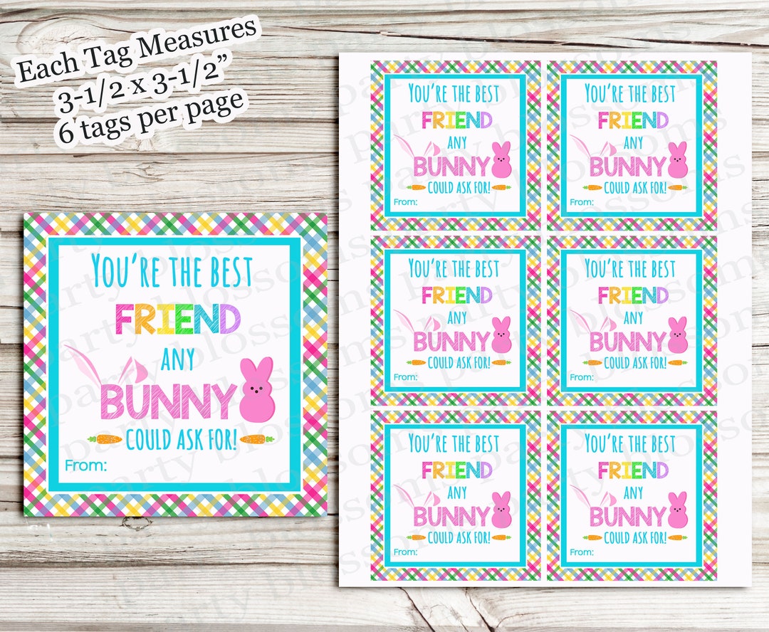 INSTANT DOWNLOAD Best Friend Any Bunny Could Ask for Egg-cellent Class ...
