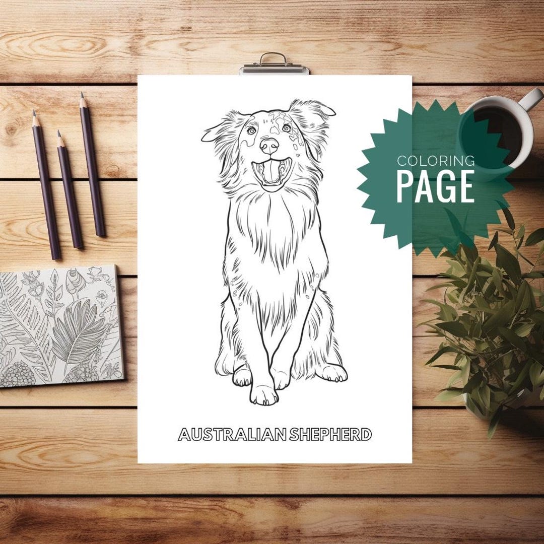 Australian Shepherd Coloring Page, Outline Dog Portrait, Printable ...