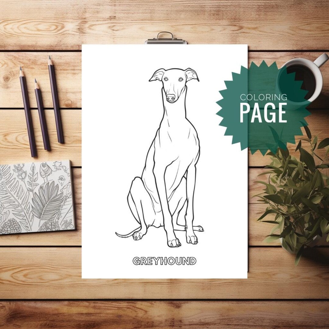 Greyhound Coloring Page, Outline Dog Portrait, Printable Coloring Book ...