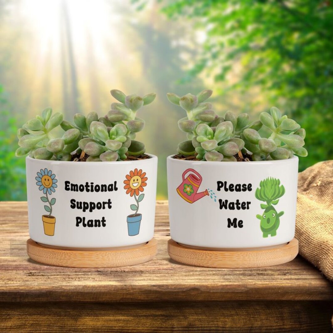 Cute Plant Pot Succulent Planter Emotional Support Plant Gift for Plant ...