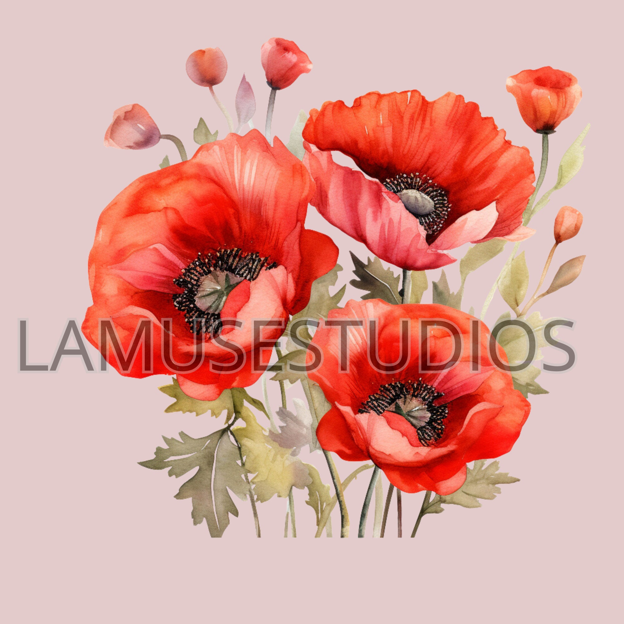 Red Poppy Watercolor Flowers Clipart Png Poppies Bouquets Floral ...