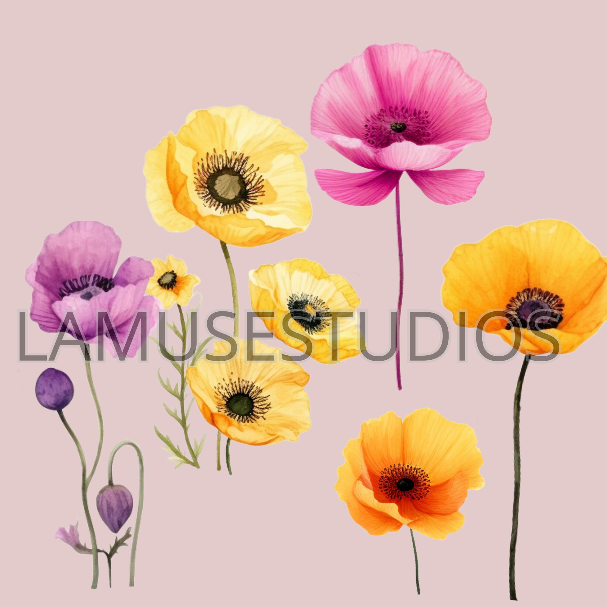 Red Poppy Watercolor Flowers Clipart Png Poppies Bouquets Floral ...