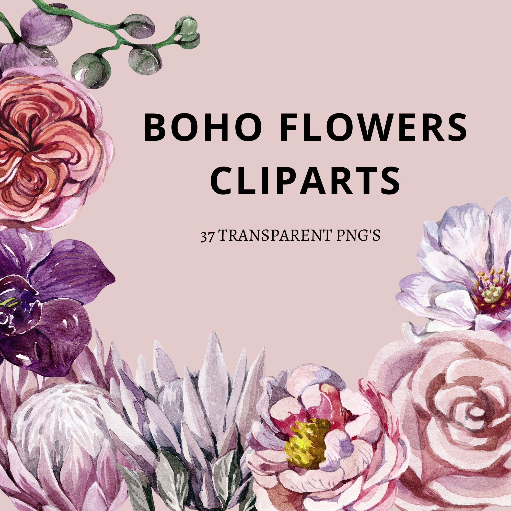 Boho Watercolor Floral Clipart Pack Bohemain Flower Clipart - Etsy