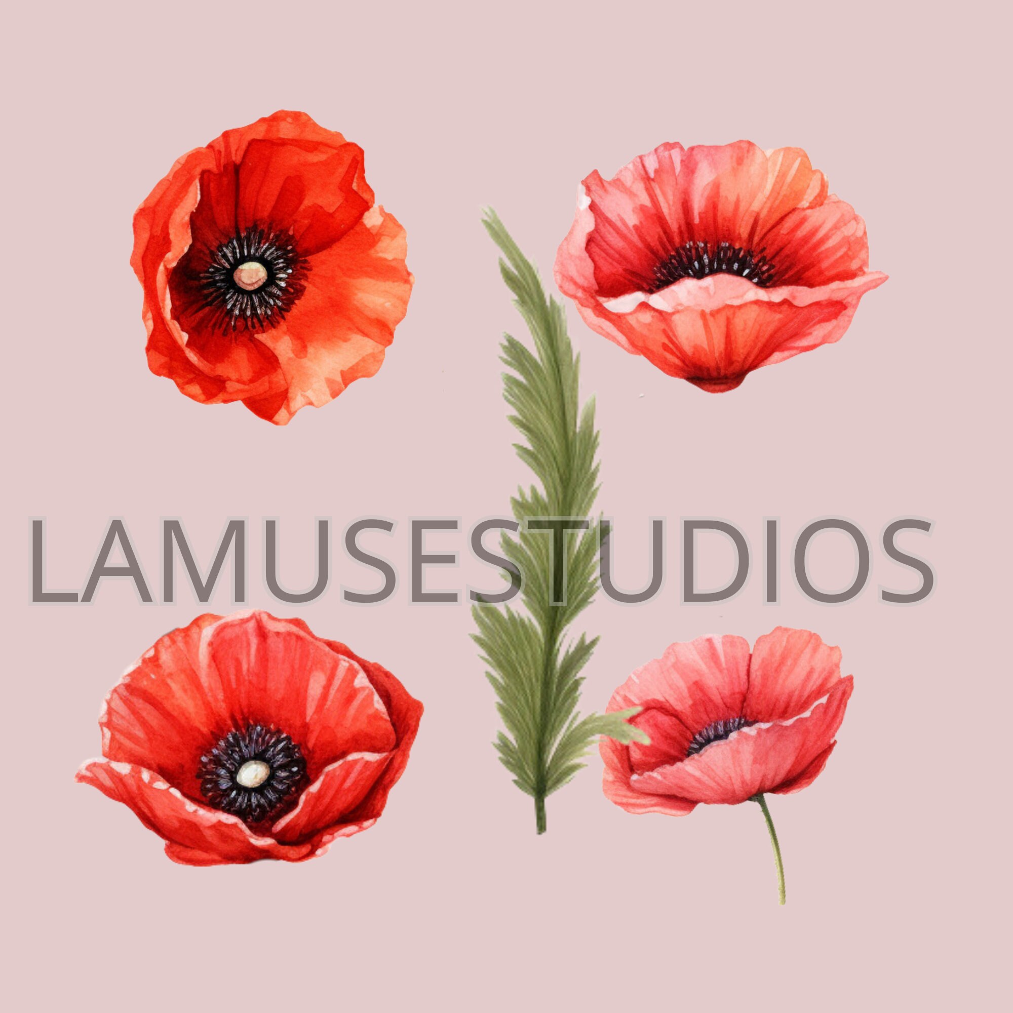 Red Poppy Watercolor Flowers Clipart Png Poppies Bouquets Floral ...