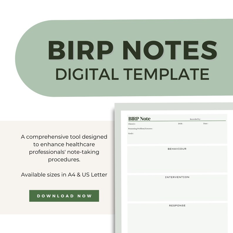 BIRP Notes Digital Template, Effective Note-taking Tool for Therapists ...