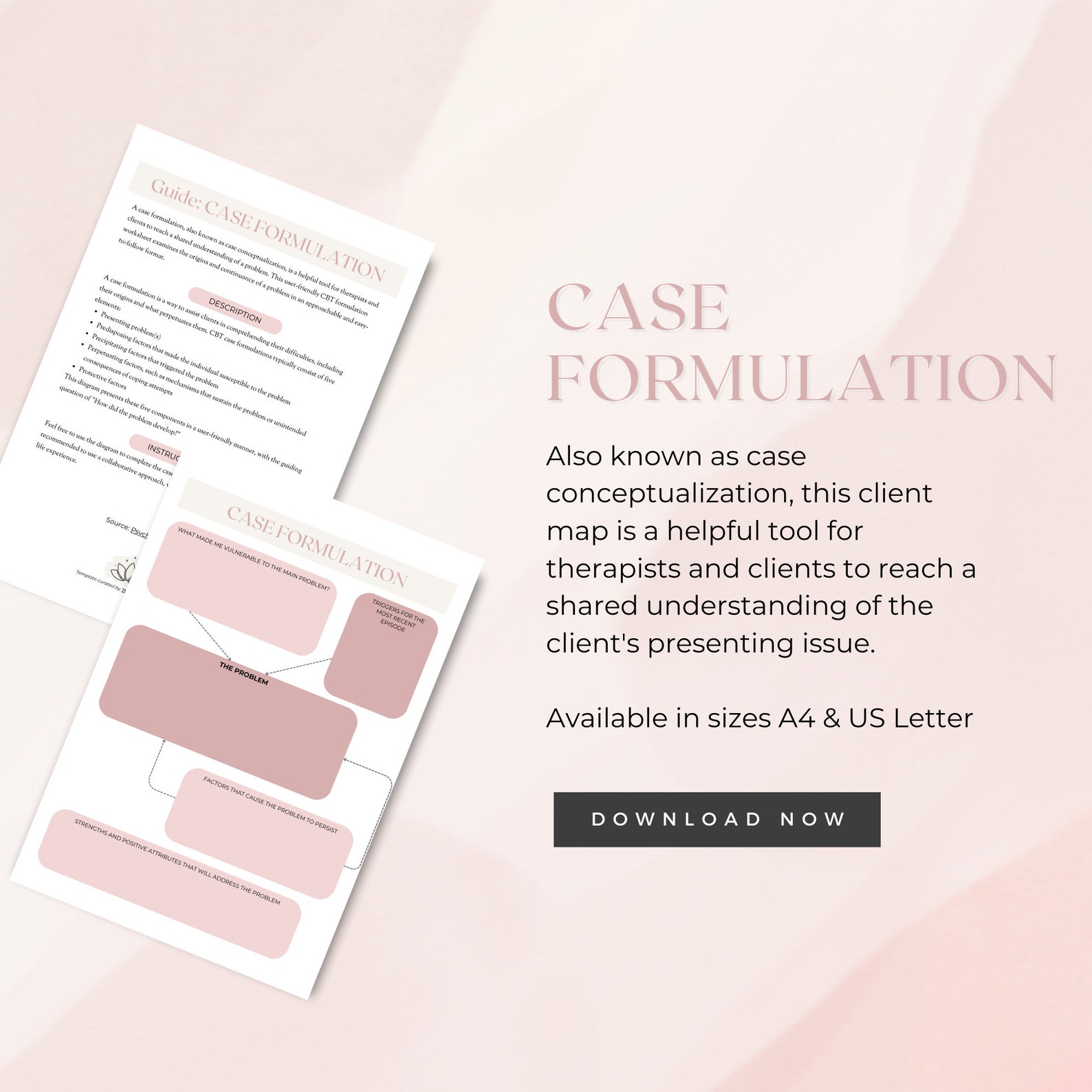 Case Formulation Template, Client Map Template, Client Notes, Therapy ...