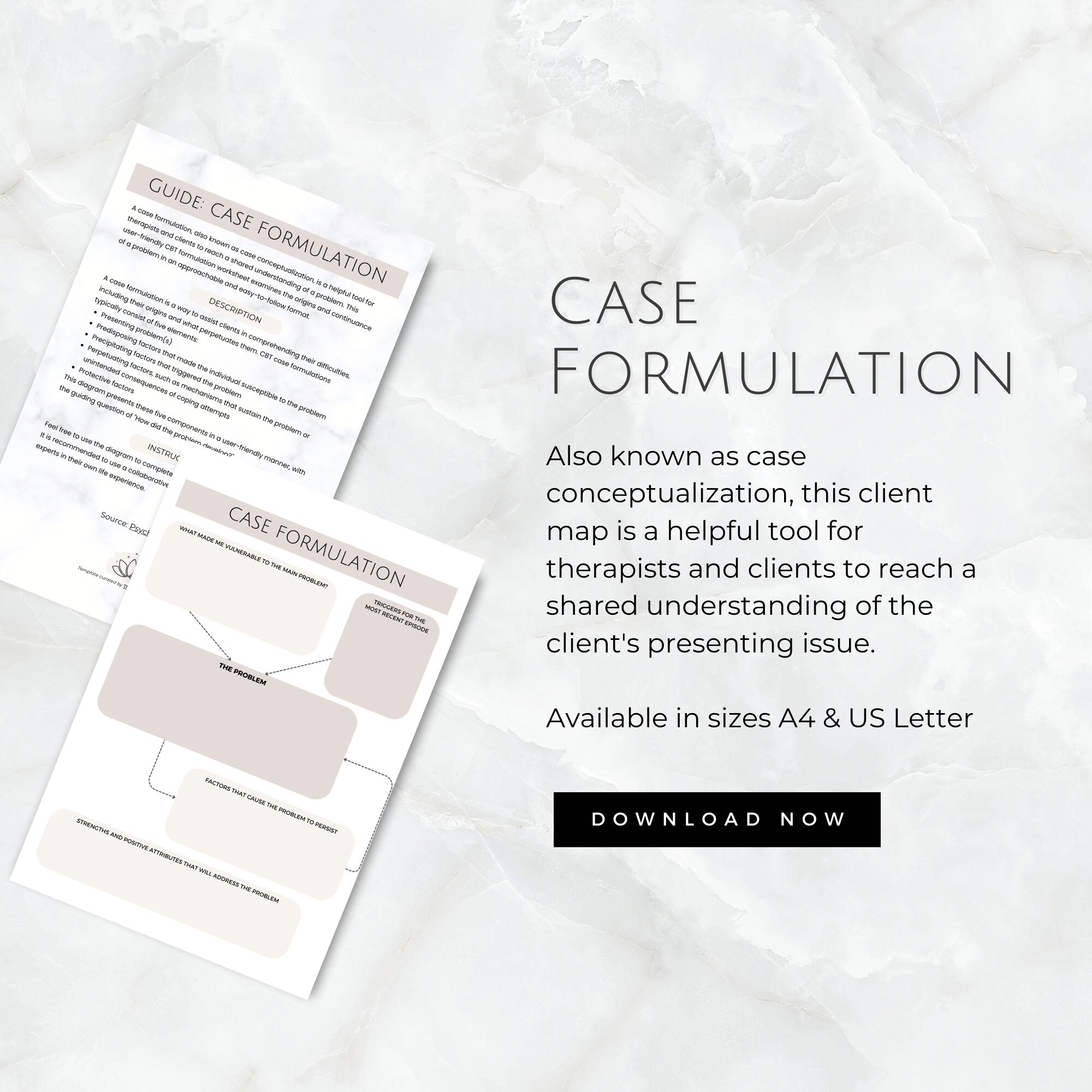 Case Formulation Template, Client Map Template, Client Notes, Therapy ...