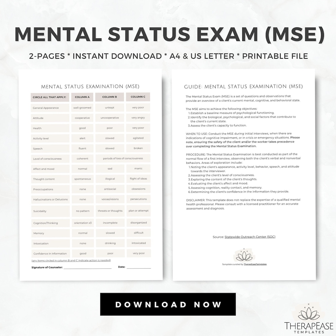 Mental Status Exam, One-page MSE Form, MSE Form, Psych Cheat Sheets, Therapy Tools, Counselor ...