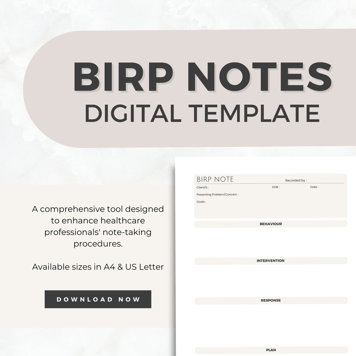 BIRP Notes Digital Template, Effective Note-taking Tool for Therapists ...