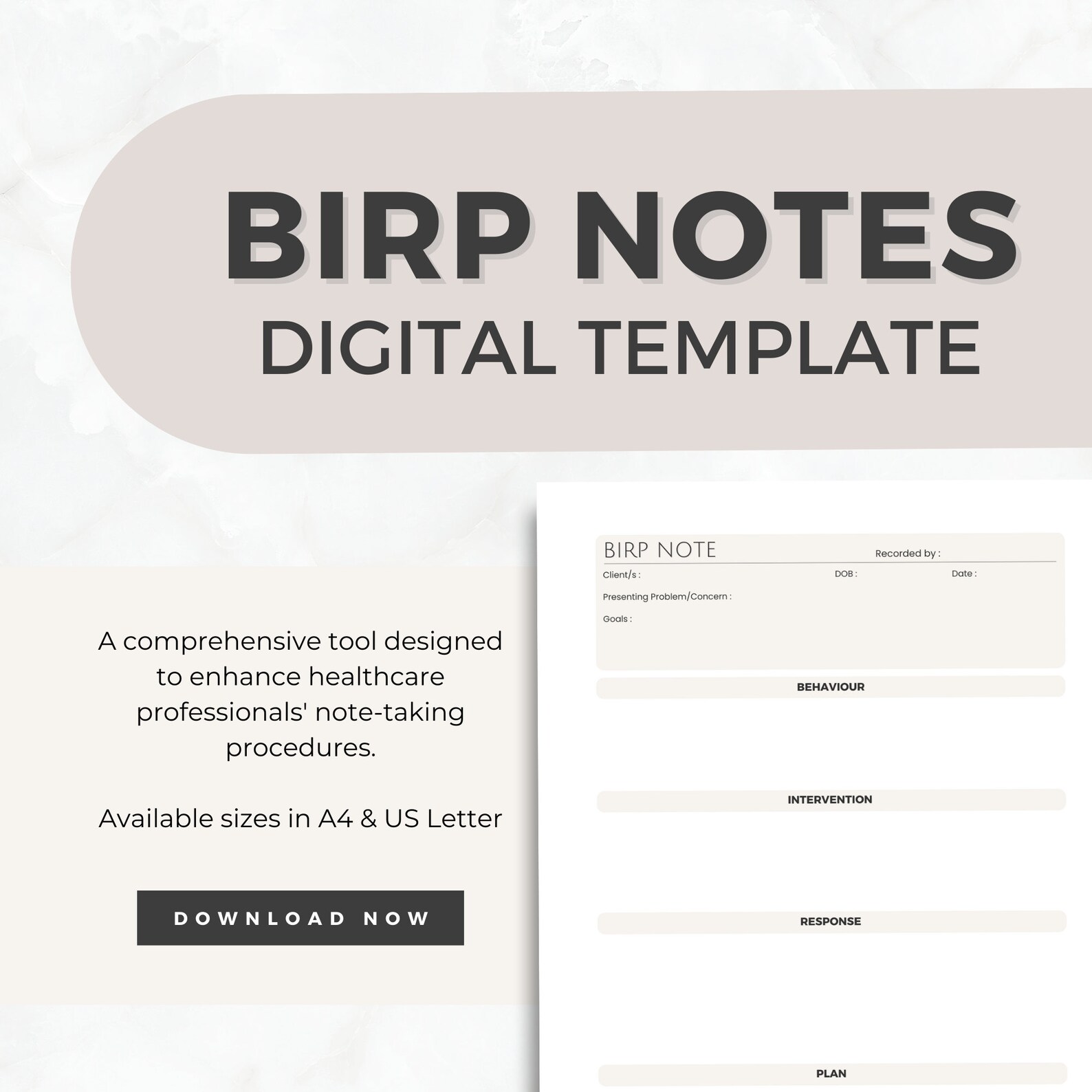 BIRP Notes Digital Template, Effective Note-taking Tool for Therapists ...