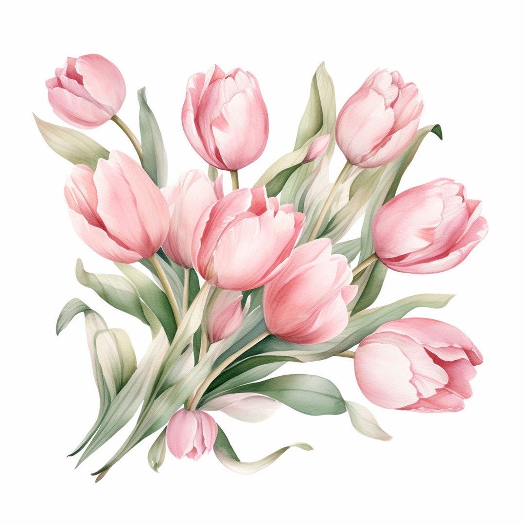 Tulpen Clipart