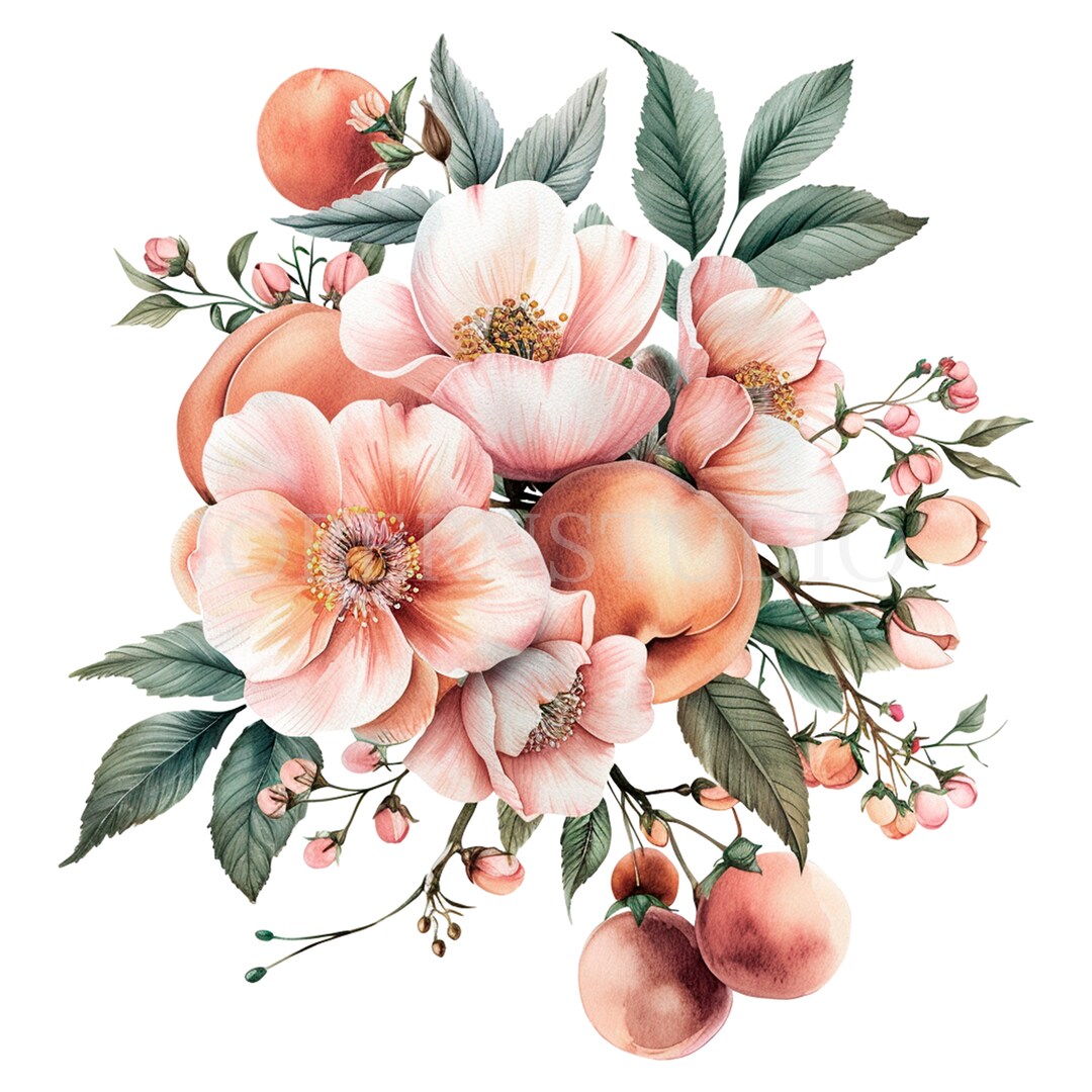Peach Rose Branch Garland Clipart Bundle 11 High Quality, Watercolor ...