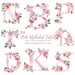 Pink Alphabet Letter Clipart Bundle 26 High Quality PNG, Watercolor ...