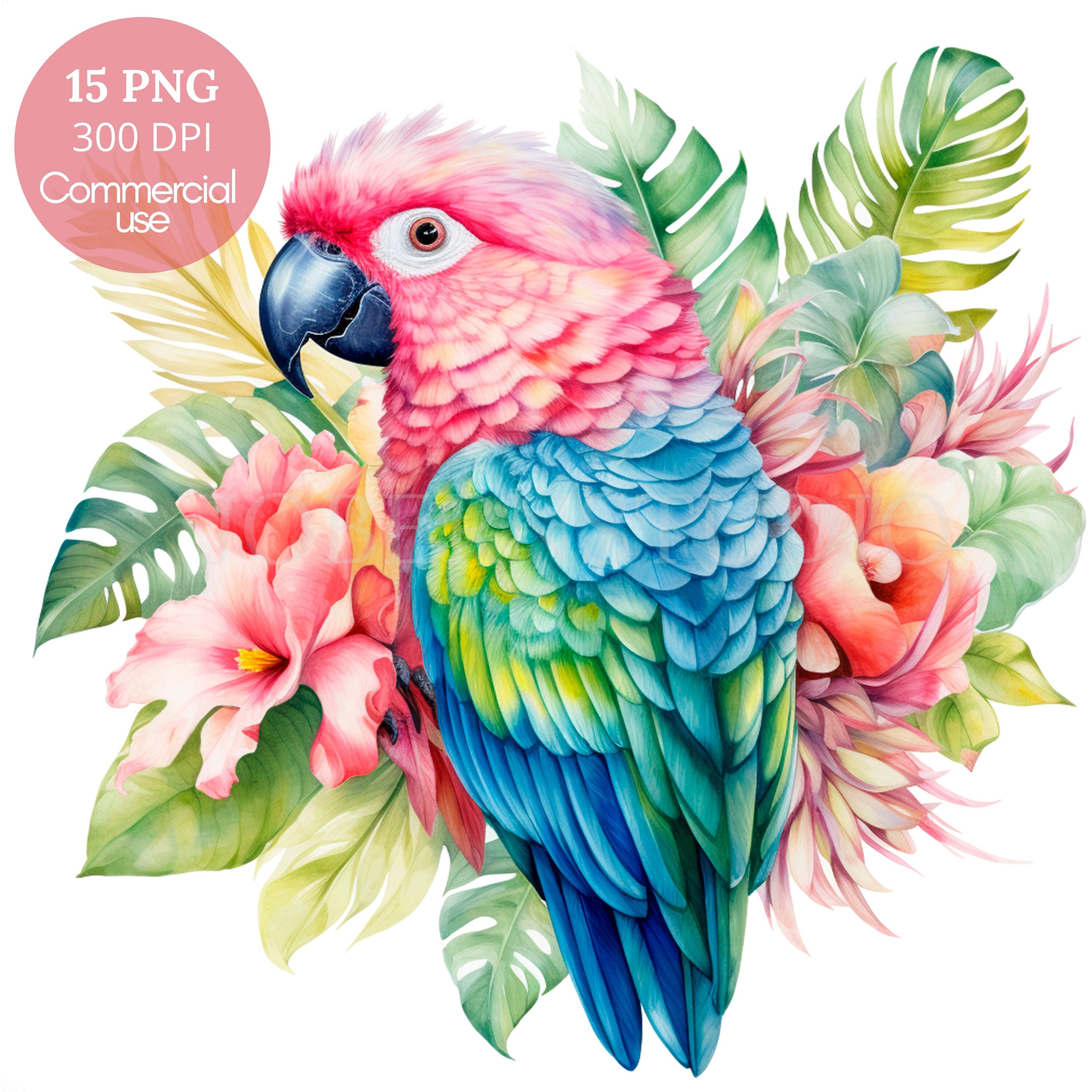 Parot Clipart PNG Bundle 15 High Quality Jpg,watercolor Tropical Bird ...