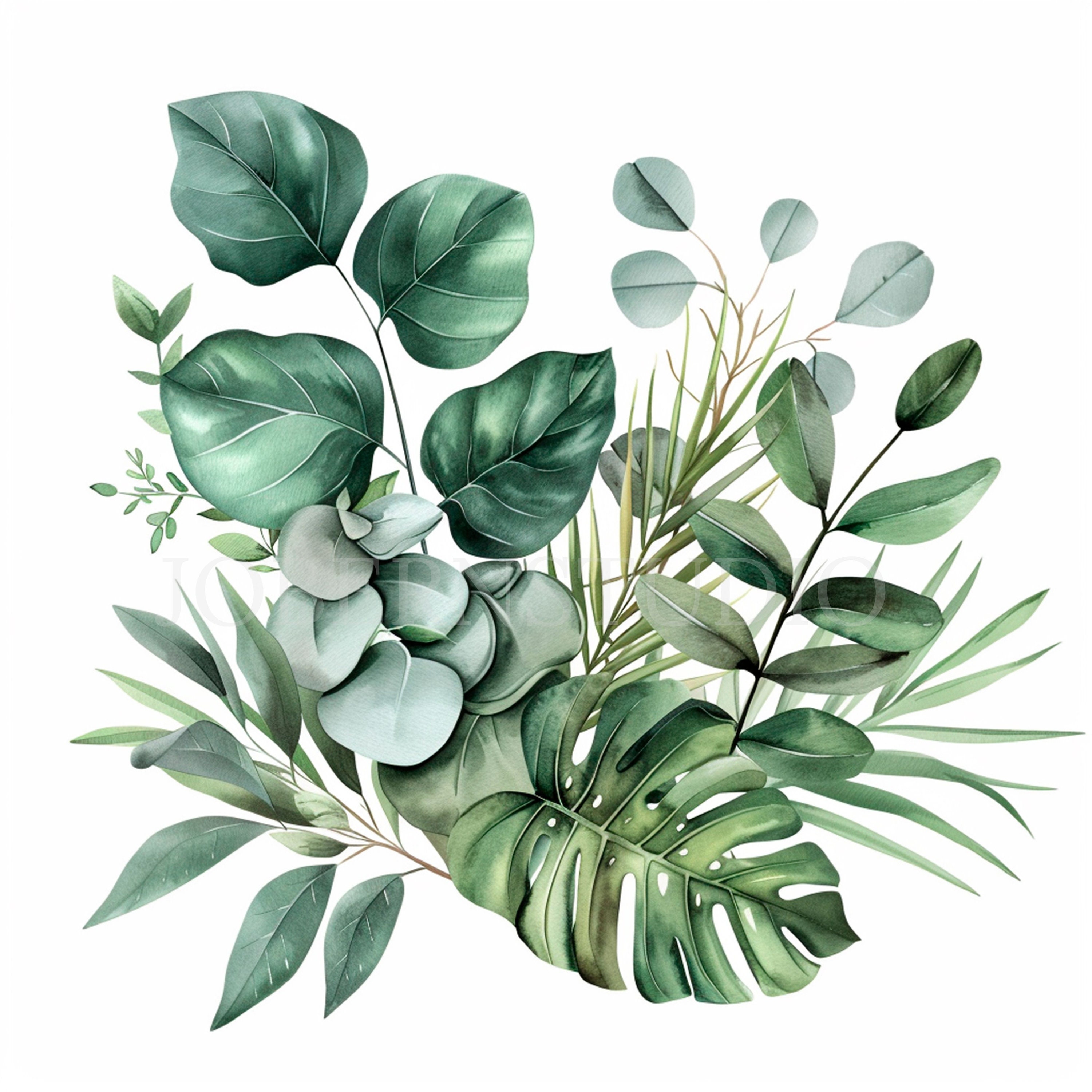 Green Leaves Bouquet Clipart Bundle 10 High Quality Png,watercolor ...