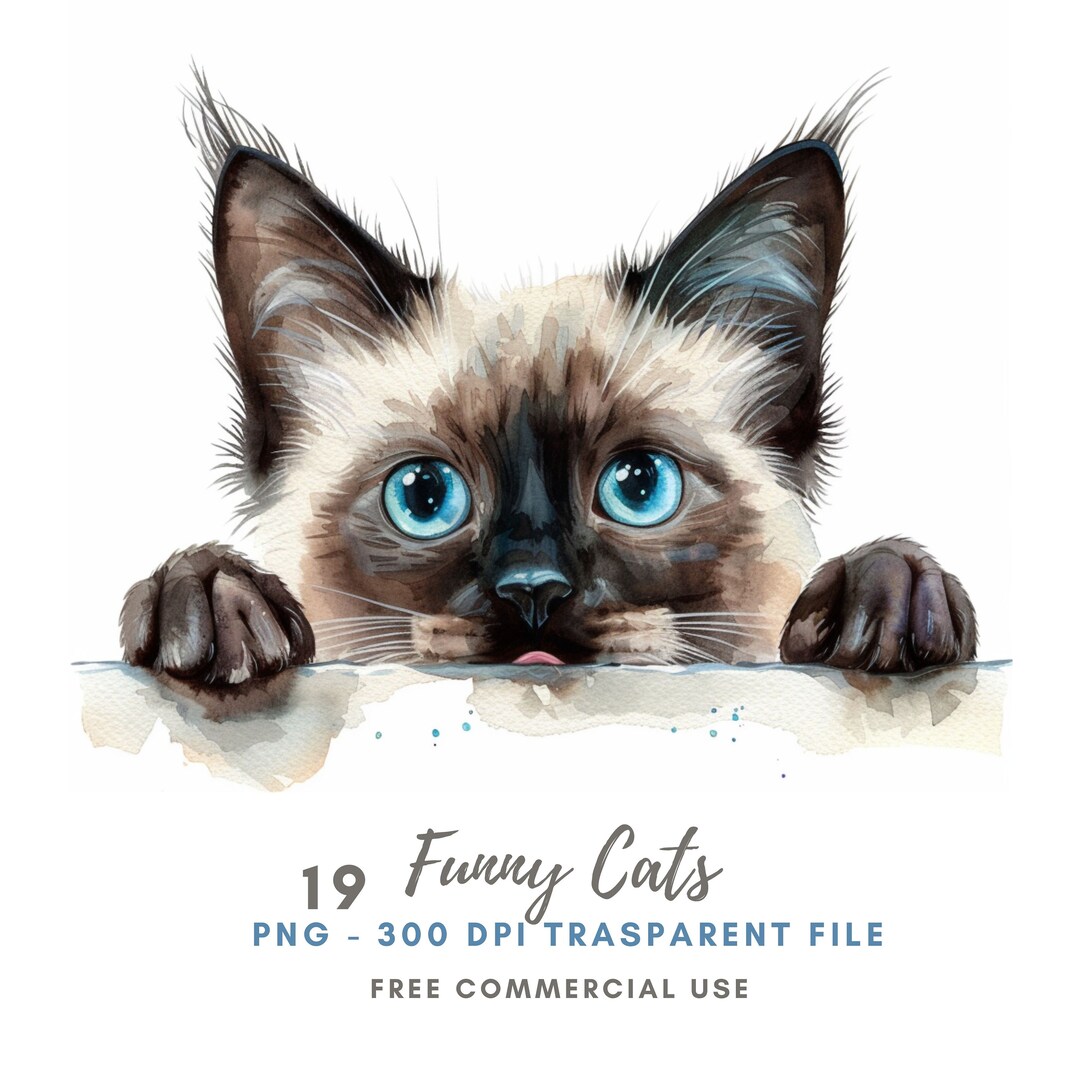 Watercolor Funny Cats Clipart PNG Bundle 19 High Quality Png,crazy Cute ...
