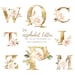 Floral Alphabet Letter Clipart Bundle 26 High Quality PNG, Watercolor ...