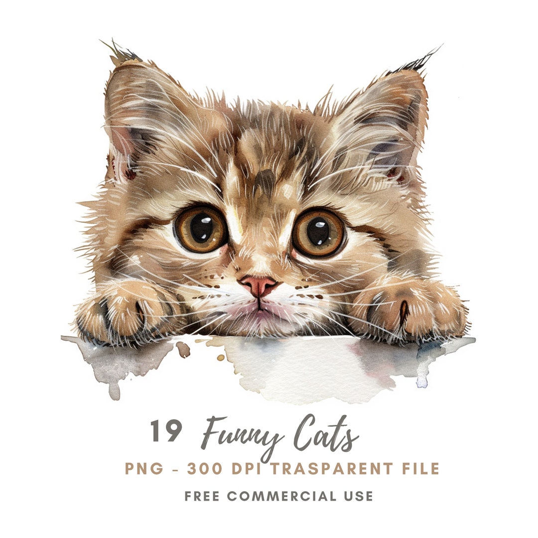 Watercolor Funny Cats Clipart PNG Bundle 19 High Quality Png,crazy Cute ...