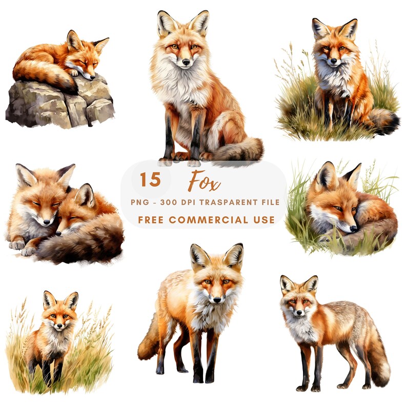 Fox Clipart Png,bundle 15 High Quality Png,watercolor Fox Digital ...