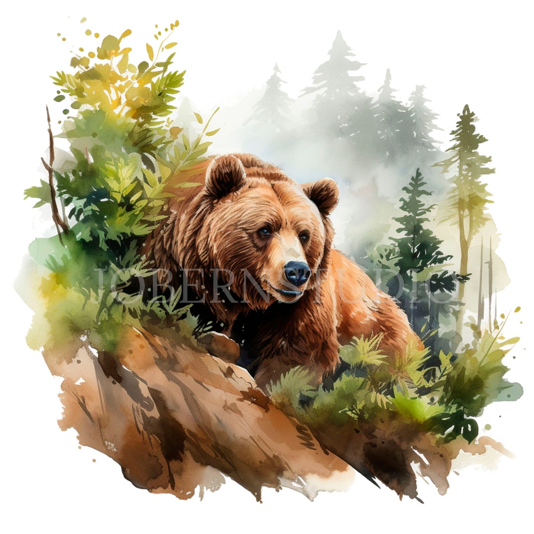 Brown Bear Forest Clipart Png,bundle 15 High Quality Jpg,digital ...