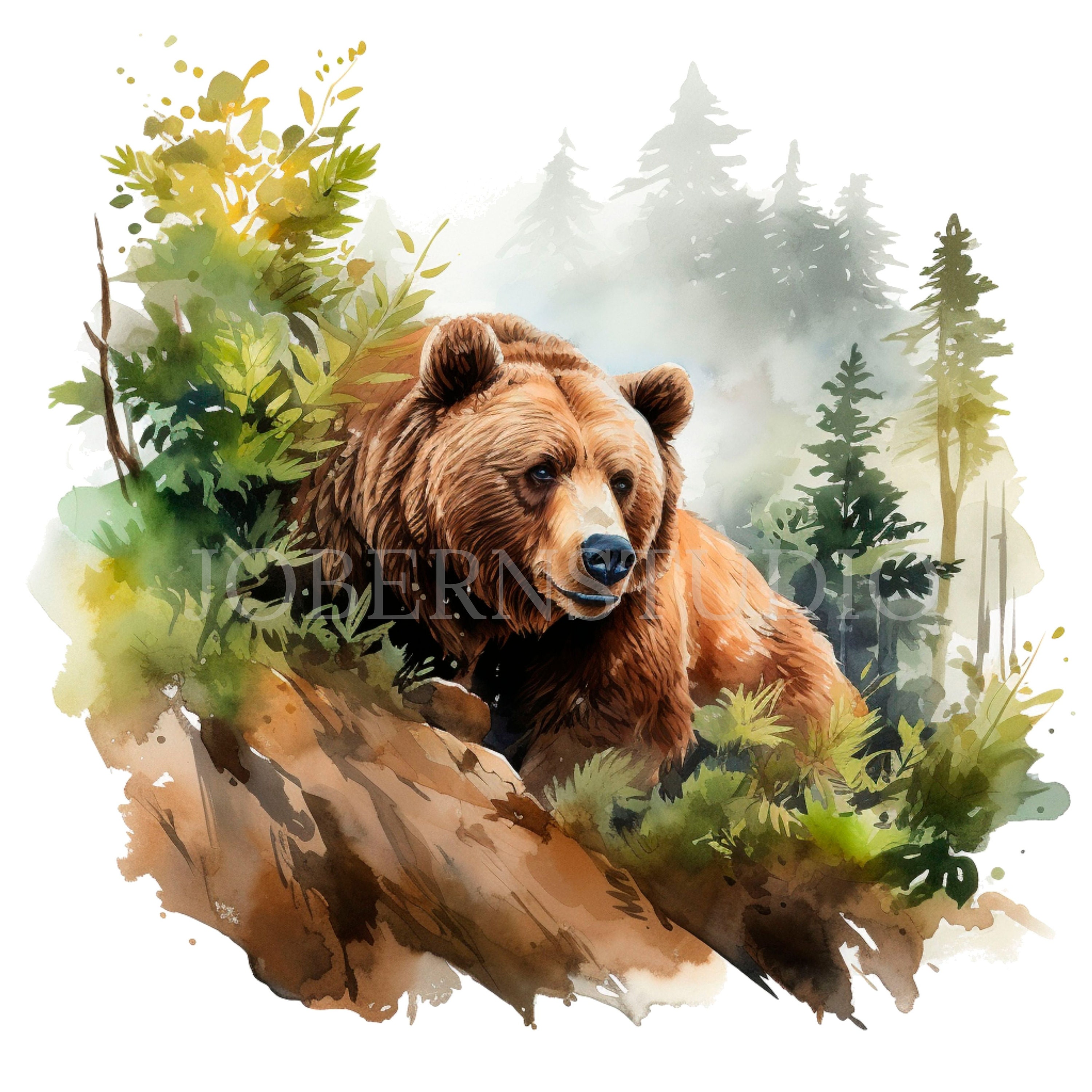 Brown Bear Forest Clipart Png,bundle 15 High Quality Jpg,digital ...