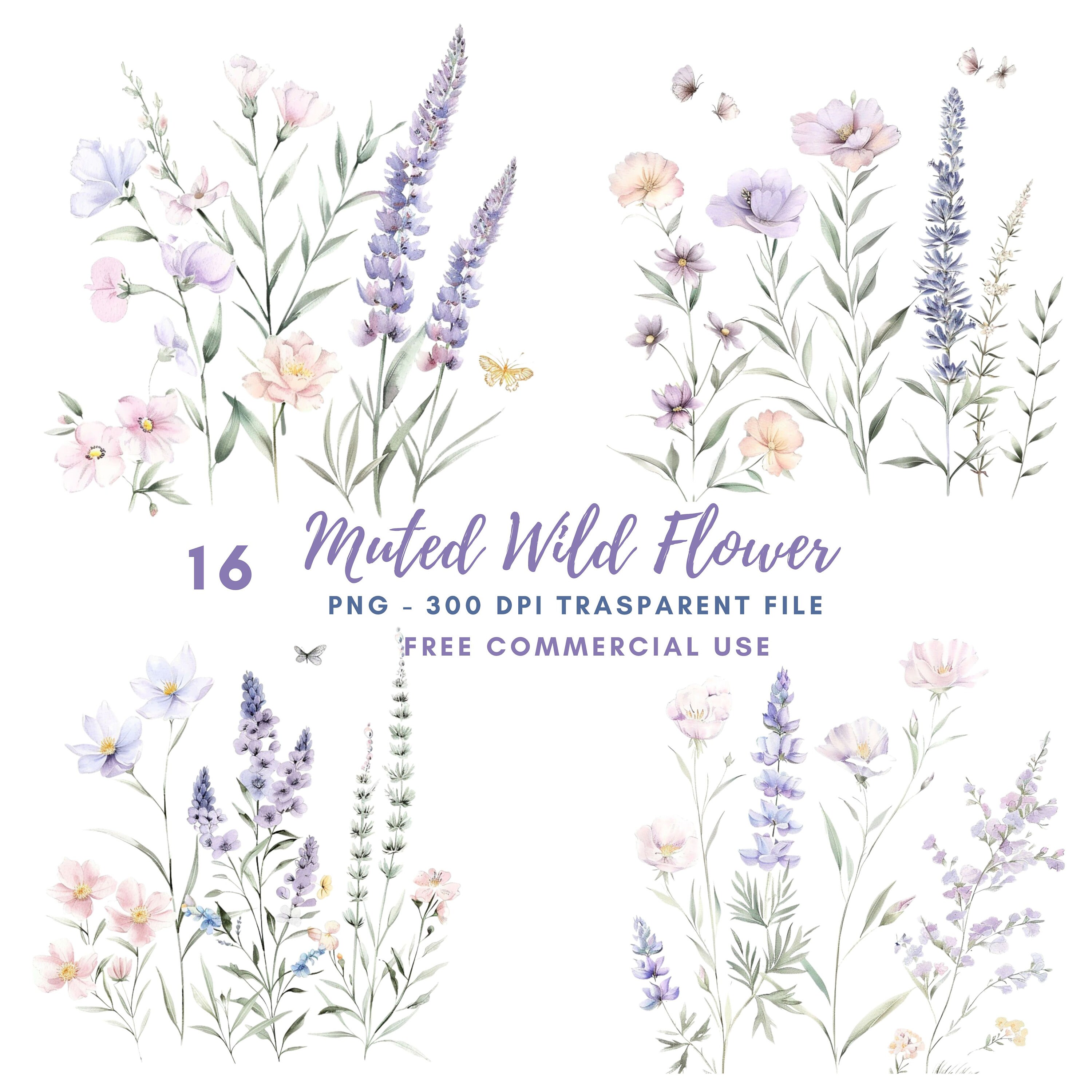 Muted Wild Flower Border Clipart Bundle 16 High Quality Png,watercolor ...