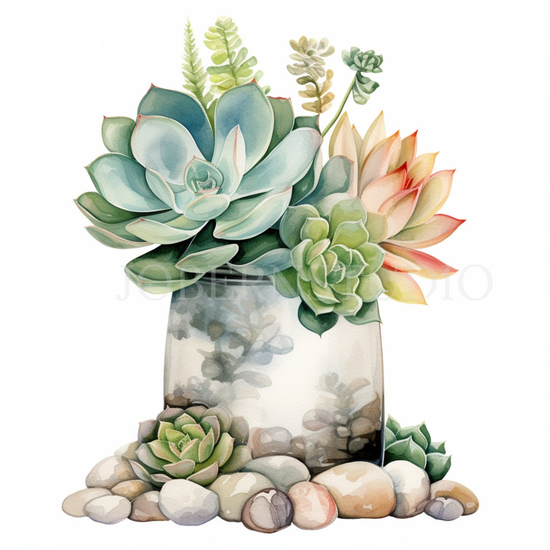 Succulent Plants Clipart Bundle 20 High Quality Png,watercolor Floral ...