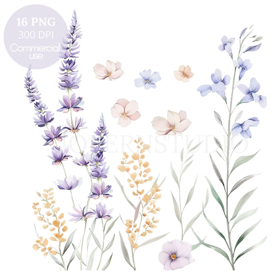 Muted Wild Flower Border Clipart Bundle 16 High Quality Png,watercolor ...