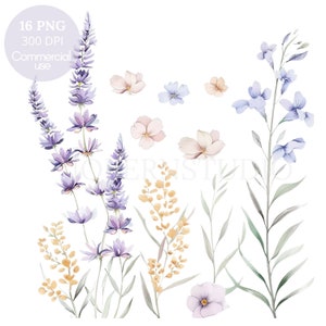 Muted Wild Flower Border Clipart Bundle 16 High Quality Png,watercolor ...