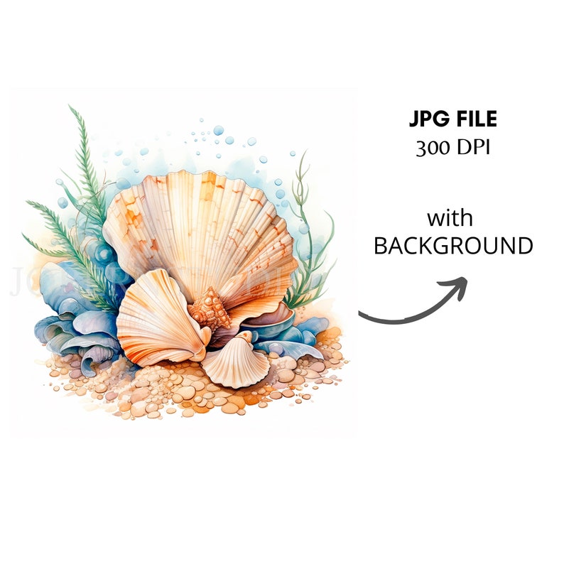Sea Shell Clipart Png,bundle 10 High Quality Jpg,watercolor Shells ...