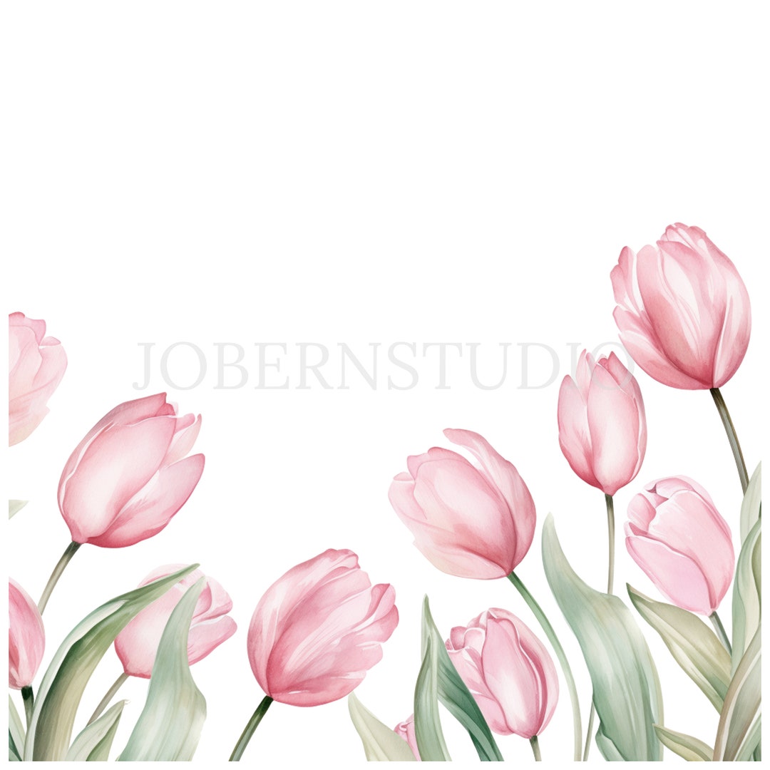 Tulips Flower Border Clipart Bundle 12 High Quality PNG, Watercolor ...